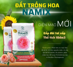Hoa Trà My: Đặc Điểm, Ý Nghĩa Và Cách Chăm Sóc