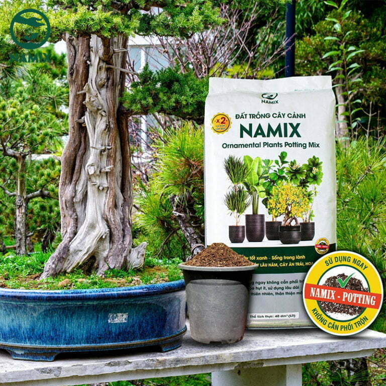 Top 6 các loại đất trồng cây sạch, chất lượng nhất hiện nay