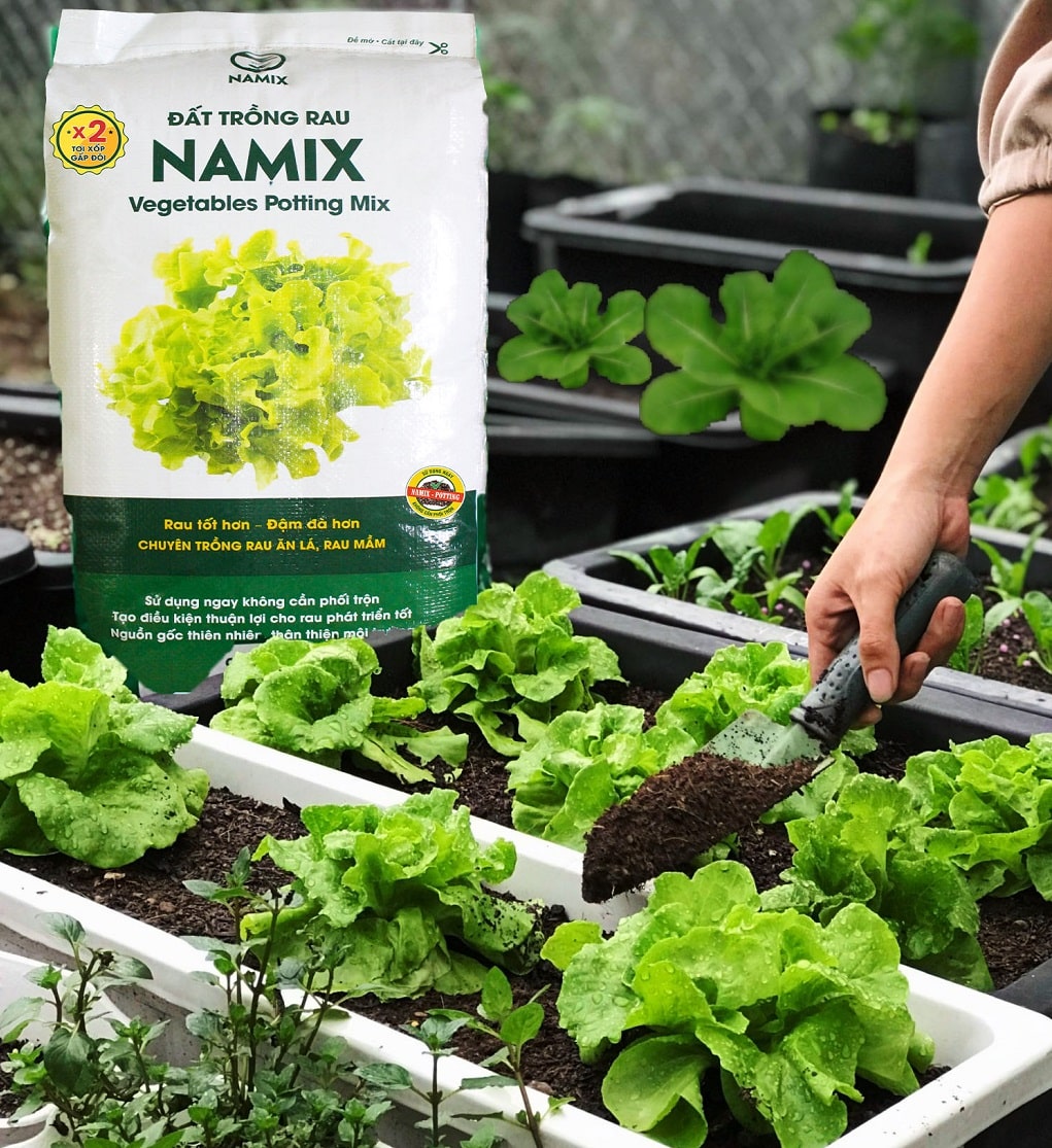 Đất trồng rau sạch - Hướng dẫn chi tiết nhất về cách trồng rau