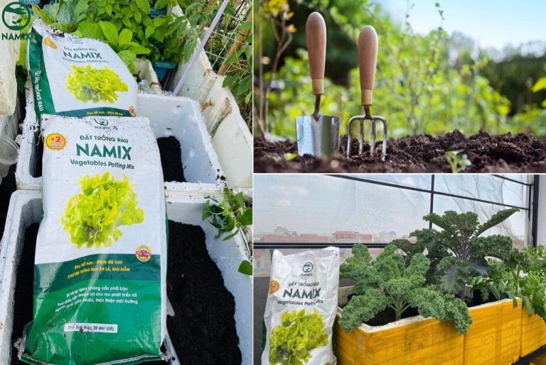 Cách trộn đất trồng rau tại nhà không phải ai cũng biết