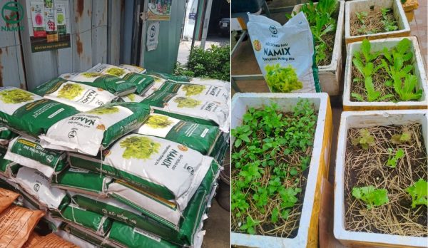 Cách trộn đất trồng rau tại nhà không phải ai cũng biết