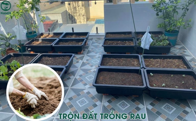 Trộn đất trồng rau - Hướng dẫn chi tiết, rau lên tươi ngon