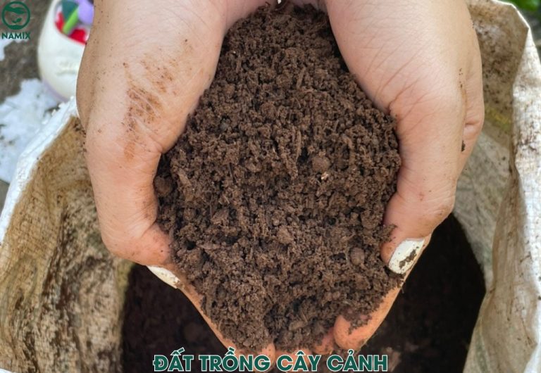 Đất Trồng Cây Cảnh – Ornamental Plants Potting Mix