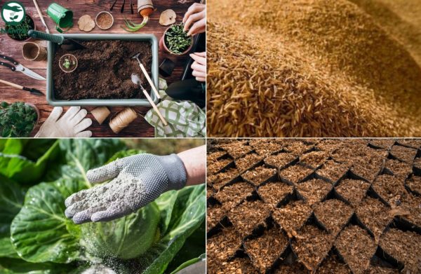 Hướng dẫn cách làm đất trồng rau sạch an toàn tại nhà